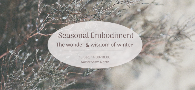 Seasonal Embodiment - The wonder & wisdom of winter - Hipsy