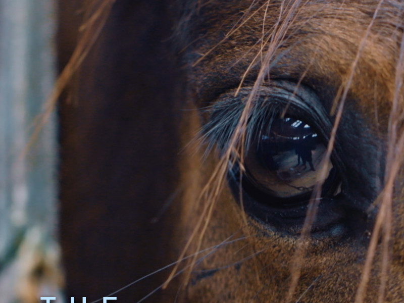 The Successor - Hipsy