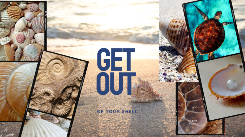 Get out of your shell - Hipsy