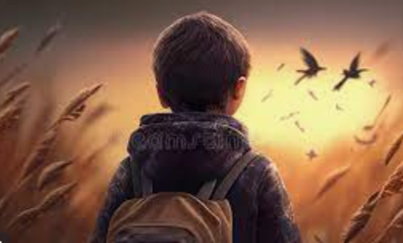 Introduction Workshop: Discover your Freedom! - Hipsy