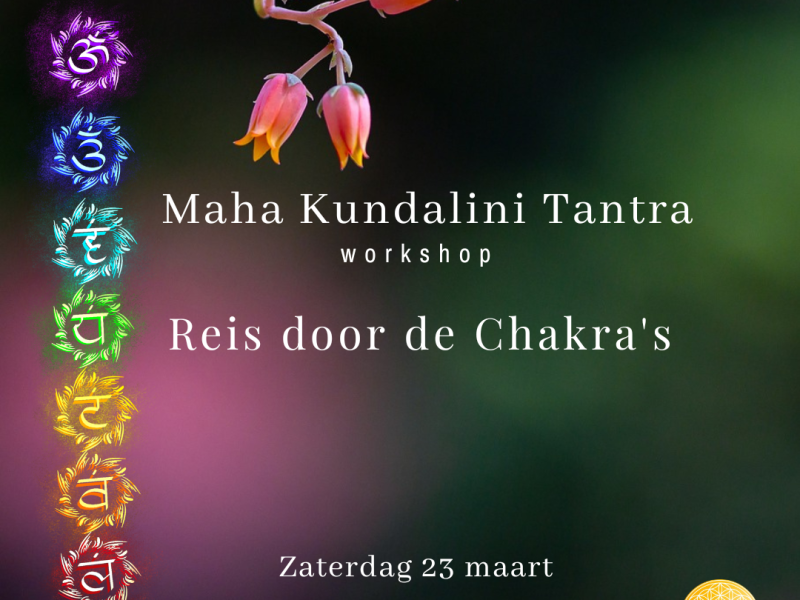 Maha Kundalini Tantra workshop "Reis door de Chakra's" - Hipsy