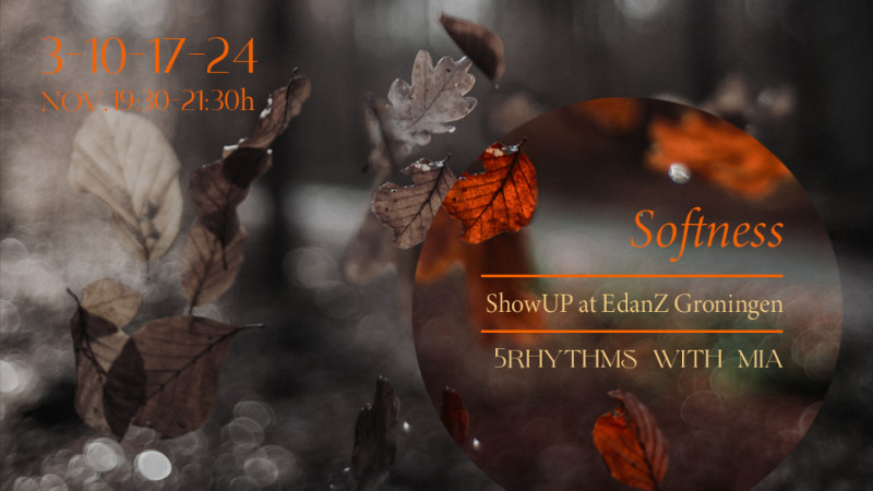 ShowUP: Softness - Hipsy