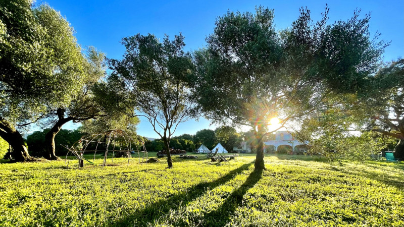 Her-inner je eigen medicijn - Hipsy