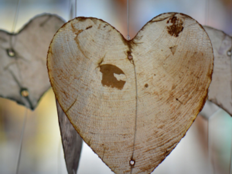 Tantra Introductiedag Special 'Single Edition' - Hipsy