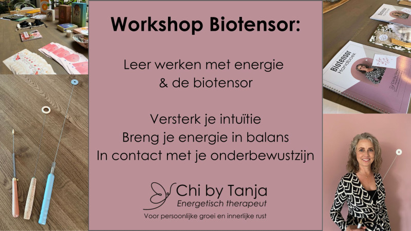 Workshop Biotensor - Hipsy