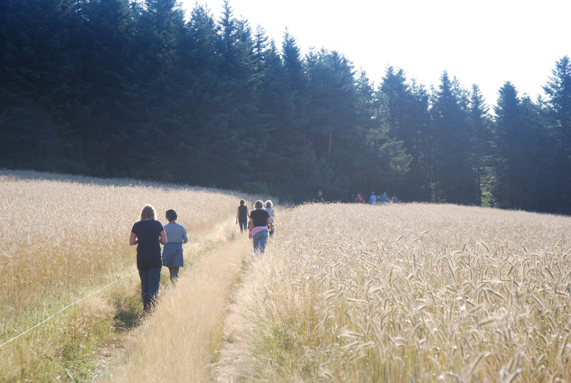 Yoga, Adem & Vision Walk (vakantie retraite in Frankrijk) - Hipsy