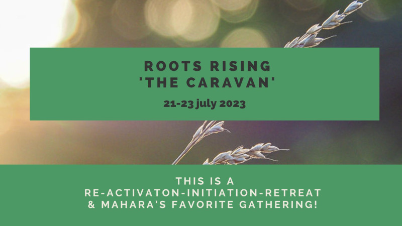Roots Rising Retreat 'The Caravan" - Hipsy