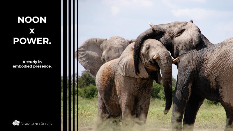 Noon x Power. A study in embodied presence. - Hipsy