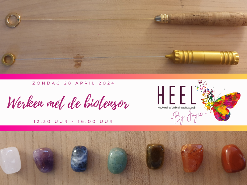 Werken met de biotensor - Hipsy