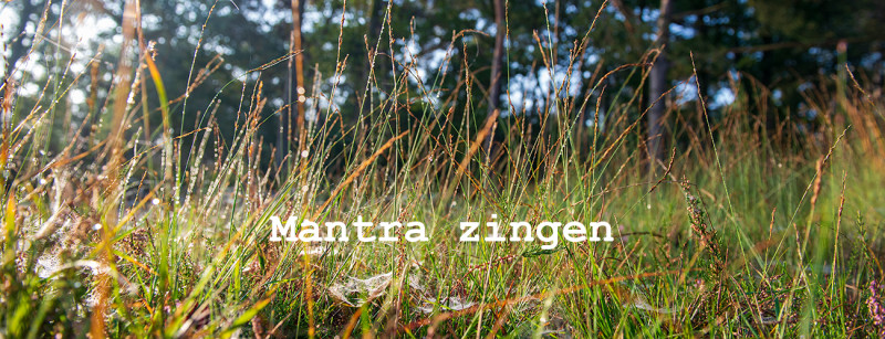 Mantra zingen - Hipsy