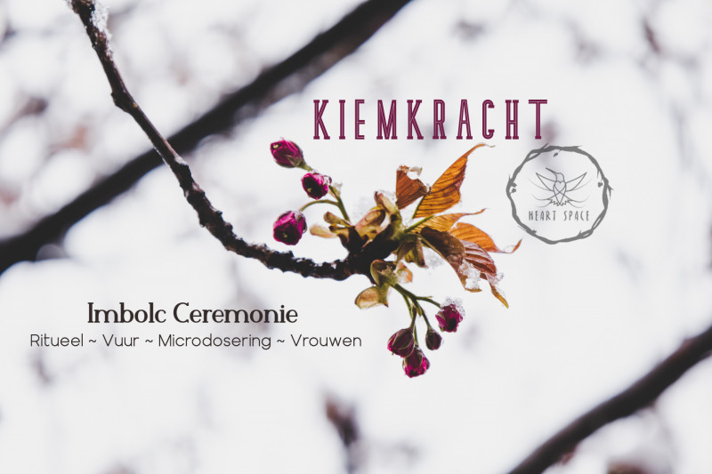 Kiemkracht: Imbolc Ceremonie - Hipsy