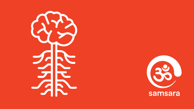 Terug naar rust: Nervus vagus en de polyvagaal theorie - Hipsy