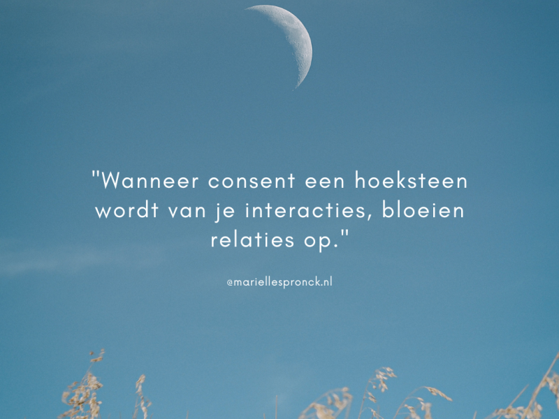 Wheel of Consent Oefendag - Hipsy