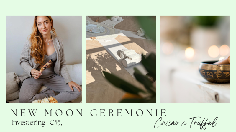NEW MOON x Cacao & Truffel - Hipsy