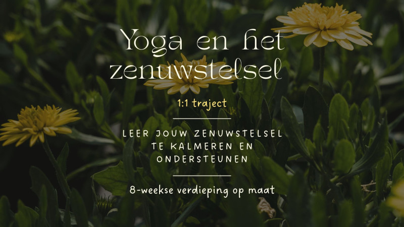 1:1 Traject - Verdieping Yoga en het zenuwstelsel - Hipsy