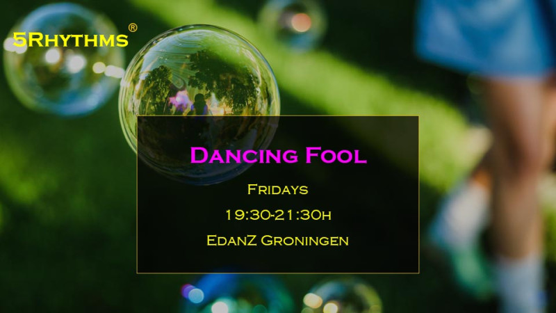 ShowUP Dancing Fools - Hipsy