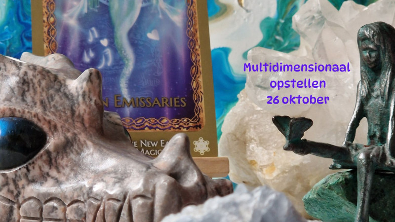 Multidimensionaal opstellen - Hipsy