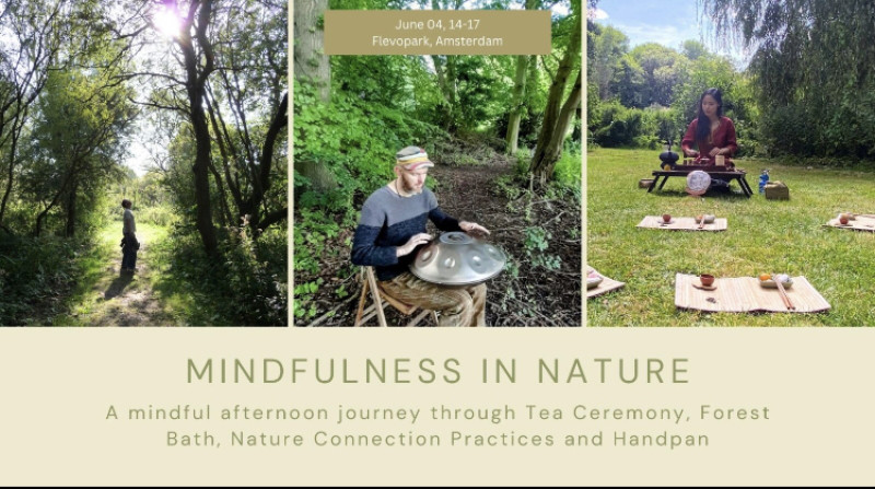 Mindfulness in Nature -Tea Ceremony, Meditation, Forest Bath - Hipsy