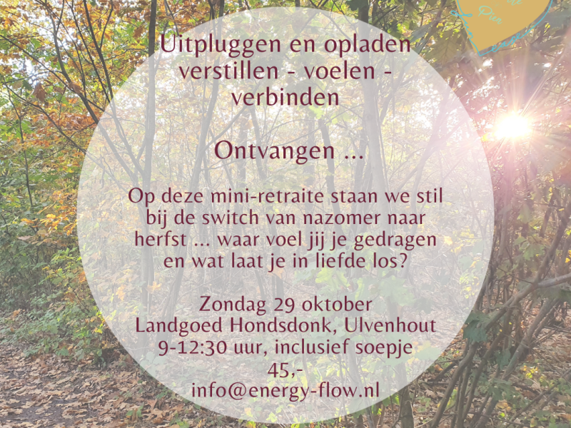 Energy Flow mini-retraite - Hipsy