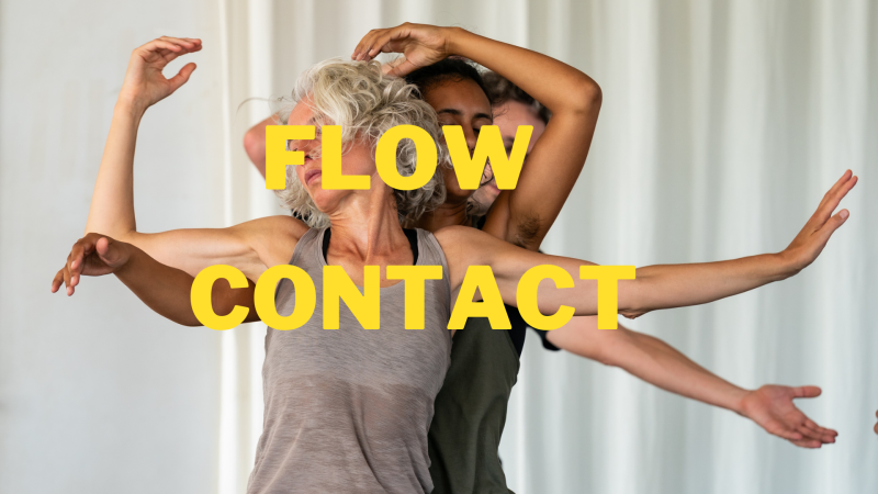 Flow Contact Playground NEW cycle - Hipsy