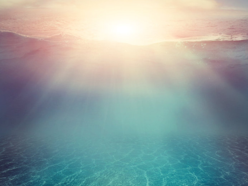 Lotusceremonie en Klankbad - Hipsy