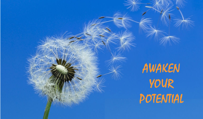 Awaken your Potential 23 & 24 March - Hipsy