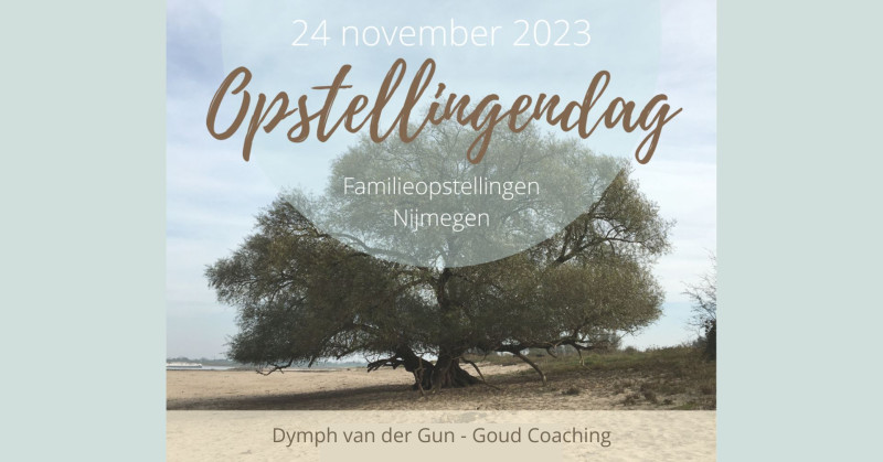 Familieopstellingen - Hipsy