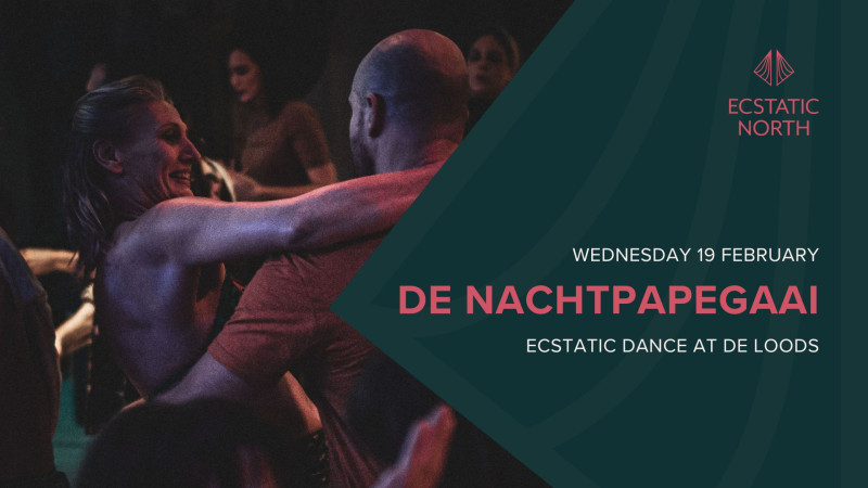 Ecstatic Dance Groningen | DJ De Nachtpapegaai - Hipsy