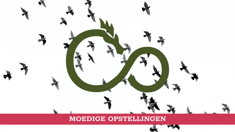 Moedige Opstellingen 5 oktober - Hipsy