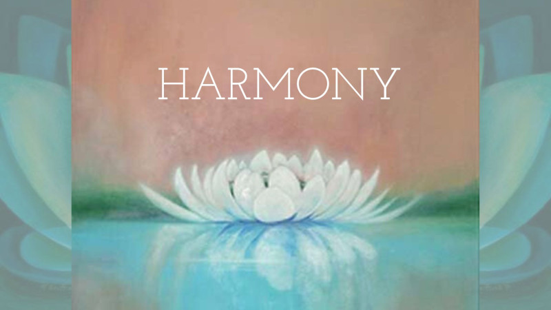 Klankbelevingsconcert 'Harmony' - Hipsy