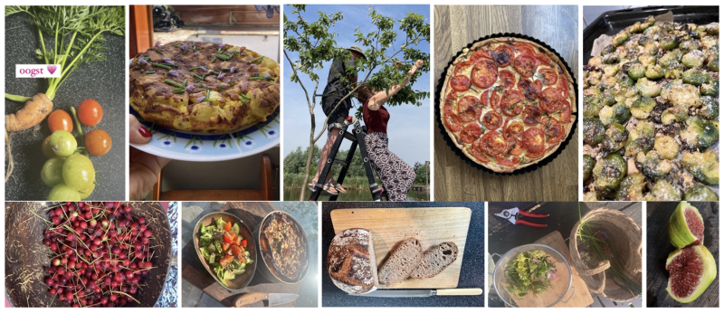 "The Cove" Dinner Experience - Hipsy