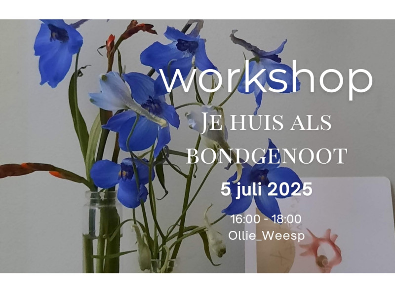 Je huis als bondgenoot: balans, rust & ruimte creëren - Hipsy