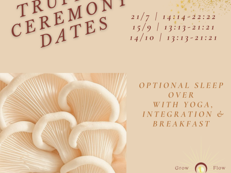 Truffel Ceremonie Studio Grow & Flow - Hipsy