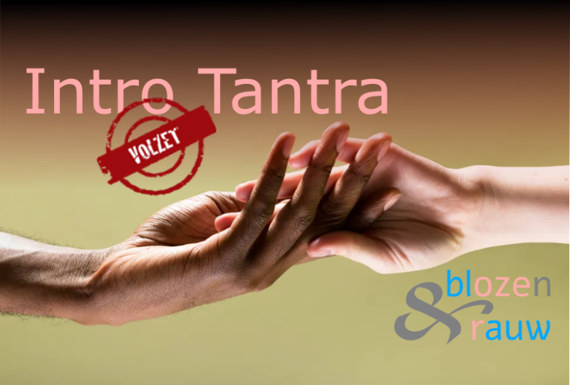 Intro Tantra (Bonheiden) met optioneel potluck/sauna - Hipsy