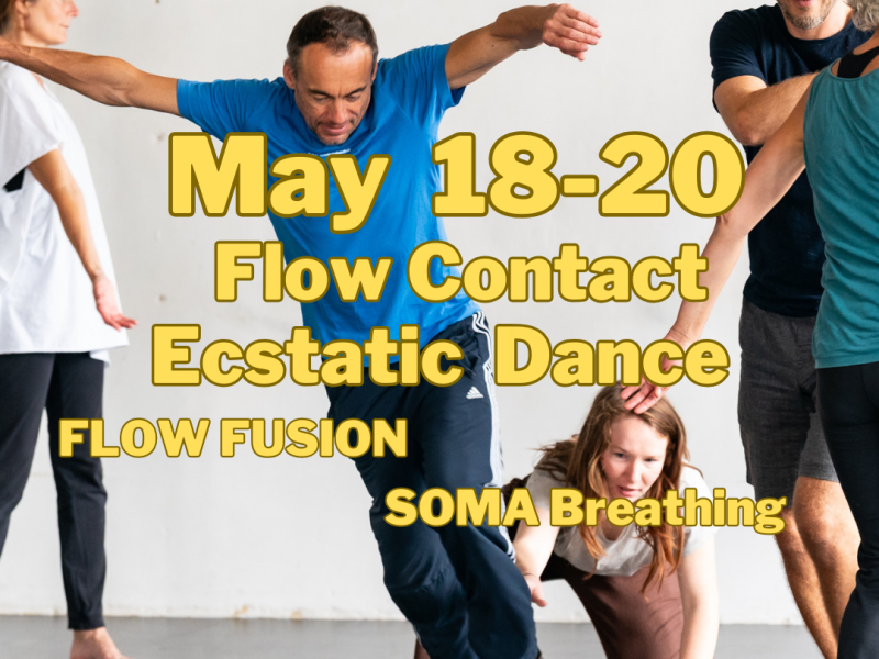 🔥 Embrace Your Spring Renewal: 3-Day Dance Retreat - Hipsy