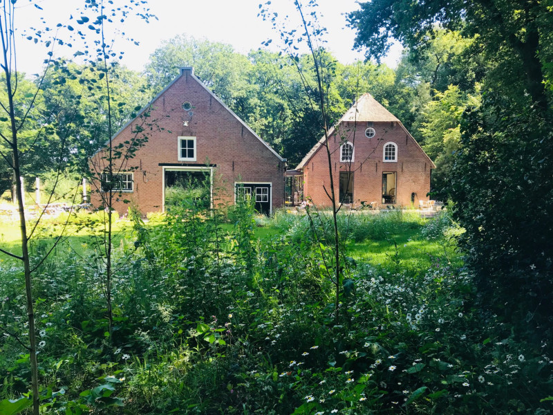 Trauma deep dive sessions @Hoorneboeg 17 mei 2023 - Hipsy