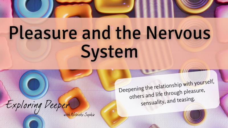 Pleasure and the Nervous System - Hipsy