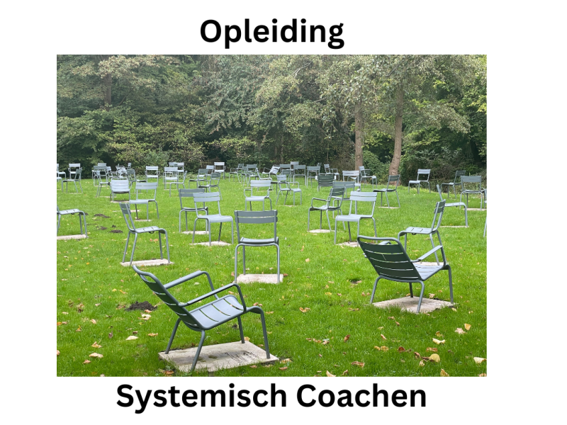 Opleiding Systemisch Coachen en Familieopstellingen - Hipsy