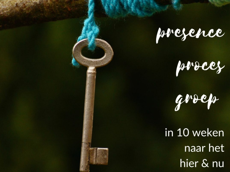 Naar het hier en nu met het Presence Proces - Hipsy