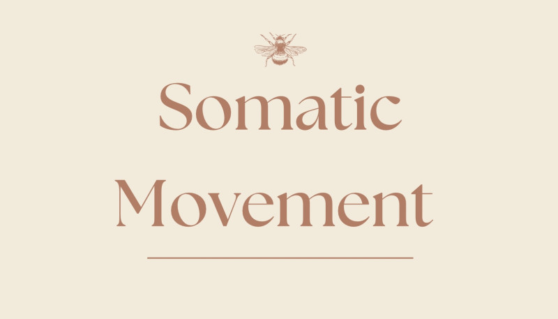 Somatic Movement FREE class - Hipsy