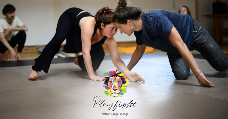 Playfight Circle Arnhem - Hipsy