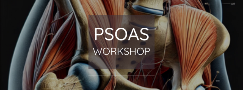 Psoas workshop | de spier van de ziel - Hipsy
