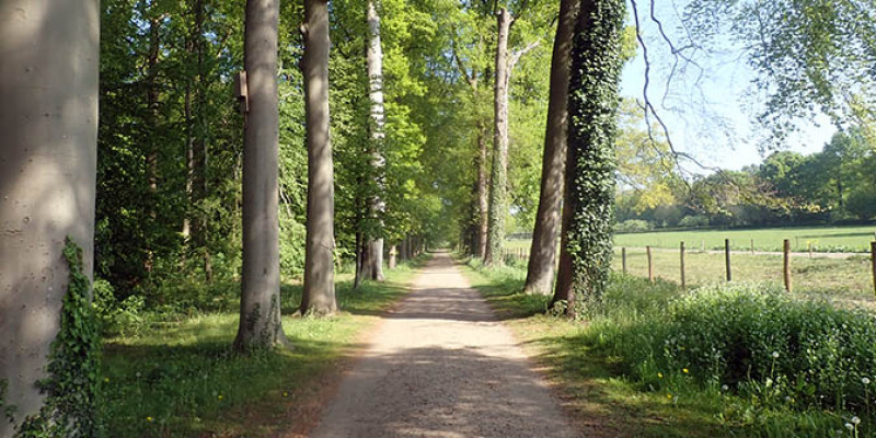 Guided mindfulness experience Amelisweerd (donation based) - Hipsy