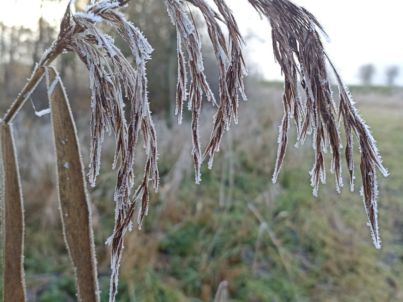 Hu-Mannen 2024 - Hipsy