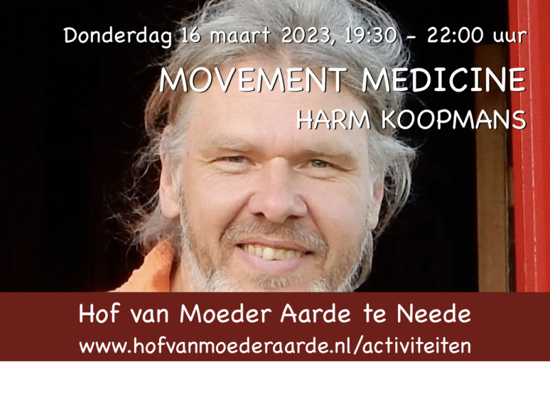 Movement Medicine met Harm Koopmans - Hipsy