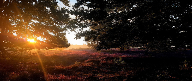 Trauma deep dive sessions @Hoorneboeg 15 juni 2023 - Hipsy