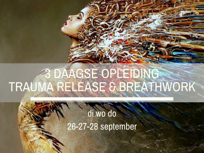 3 daagse opleiding Trauma Release & Breathwork - Hipsy