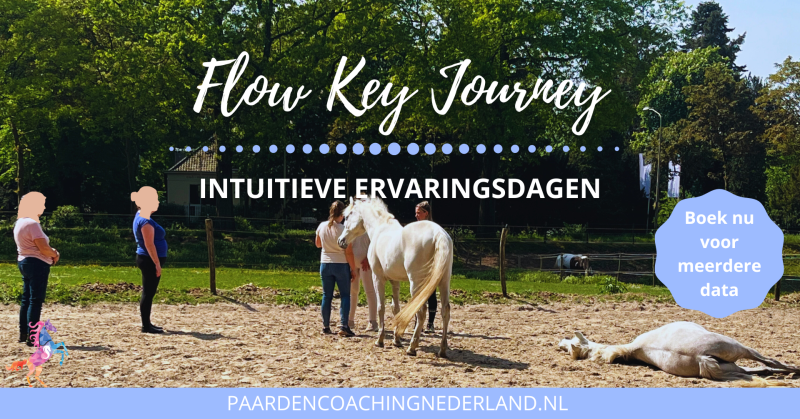 Flow Key Journey | Intuitieve Ervaringsdag - Hipsy