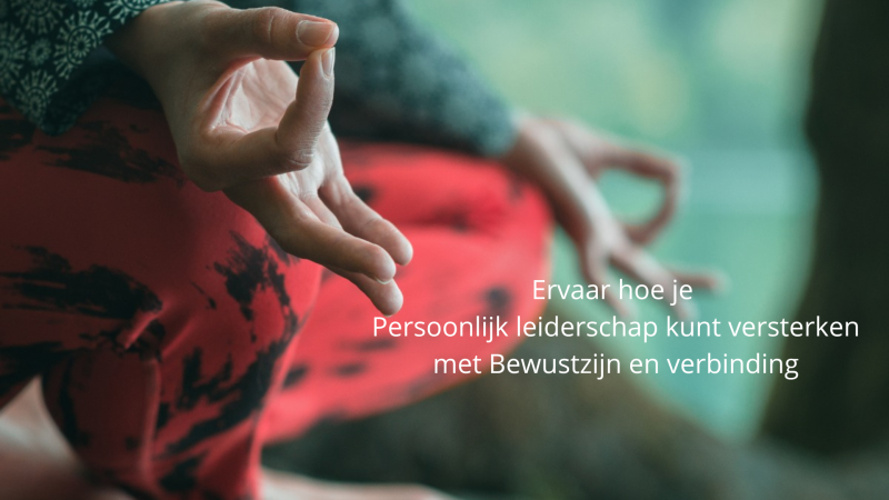 Retraite Bewust Leiderschap - Hipsy