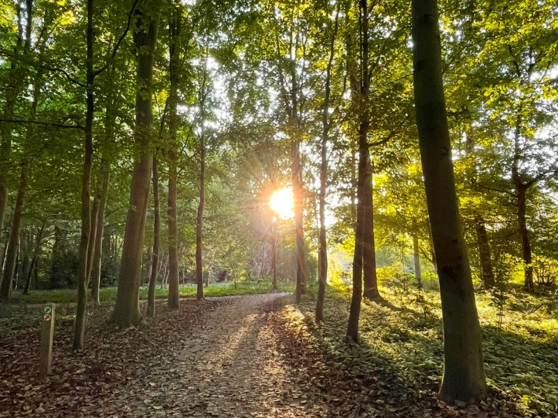 ‘Wandel & Ontspan’ Mind-Walk Workshop in Best 19 nov 2025 om 9.30 uur - Hipsy